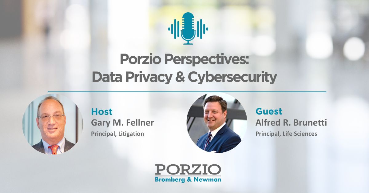 Porzio Perspectives: Data Privacy & Cybersecurity - Part 1 | Porzio ...